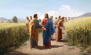 Sermon sur la prière au Maître de la moisson